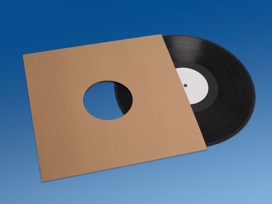 12” Kraft Cardboard Jackets - With Holes | DiscoGuard