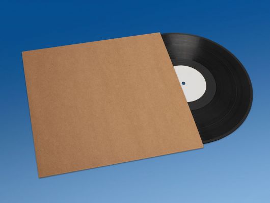 12” Kraft Cardboard Jackets - No Holes | DiscoGuard